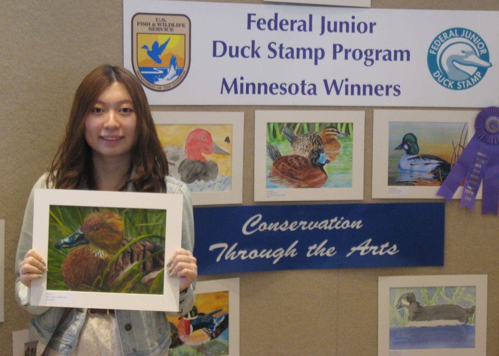 Vis Student Places 2nd in MN Junior Duck Stamp Art Contest | Mendota ...