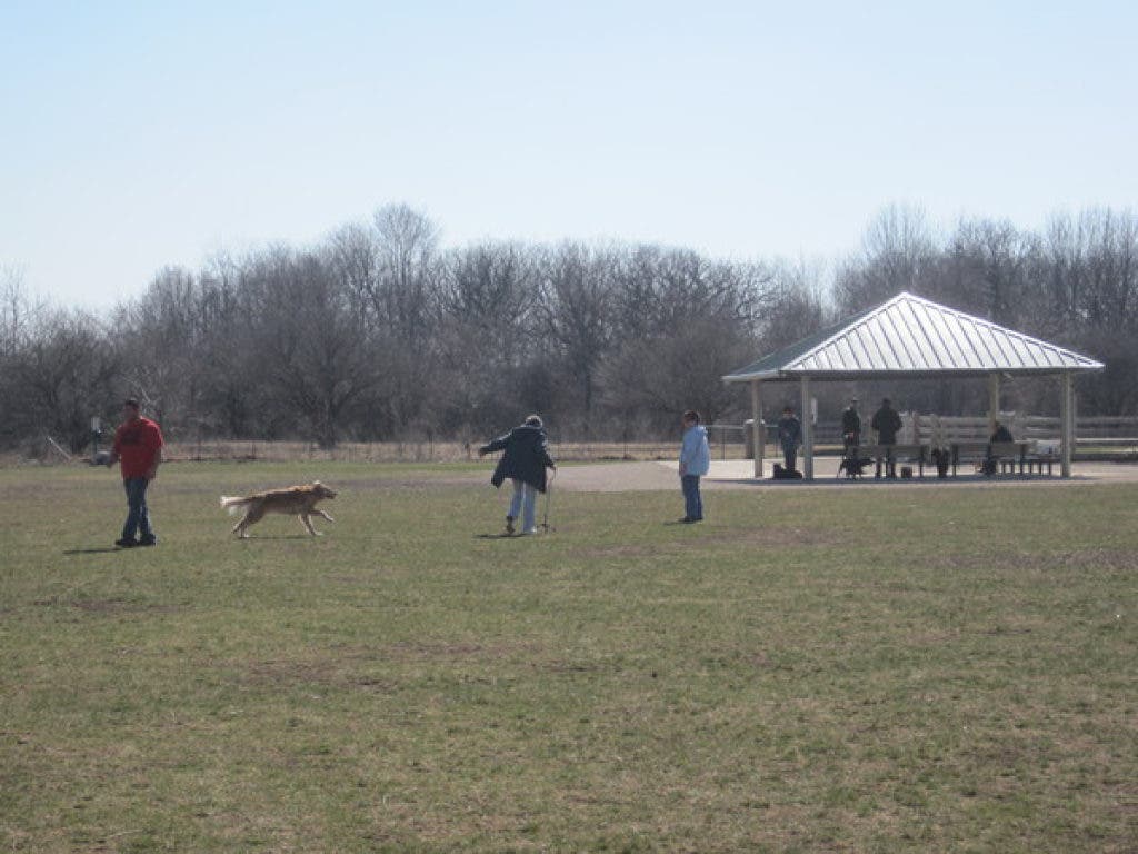Hammel Woods Dog Park
