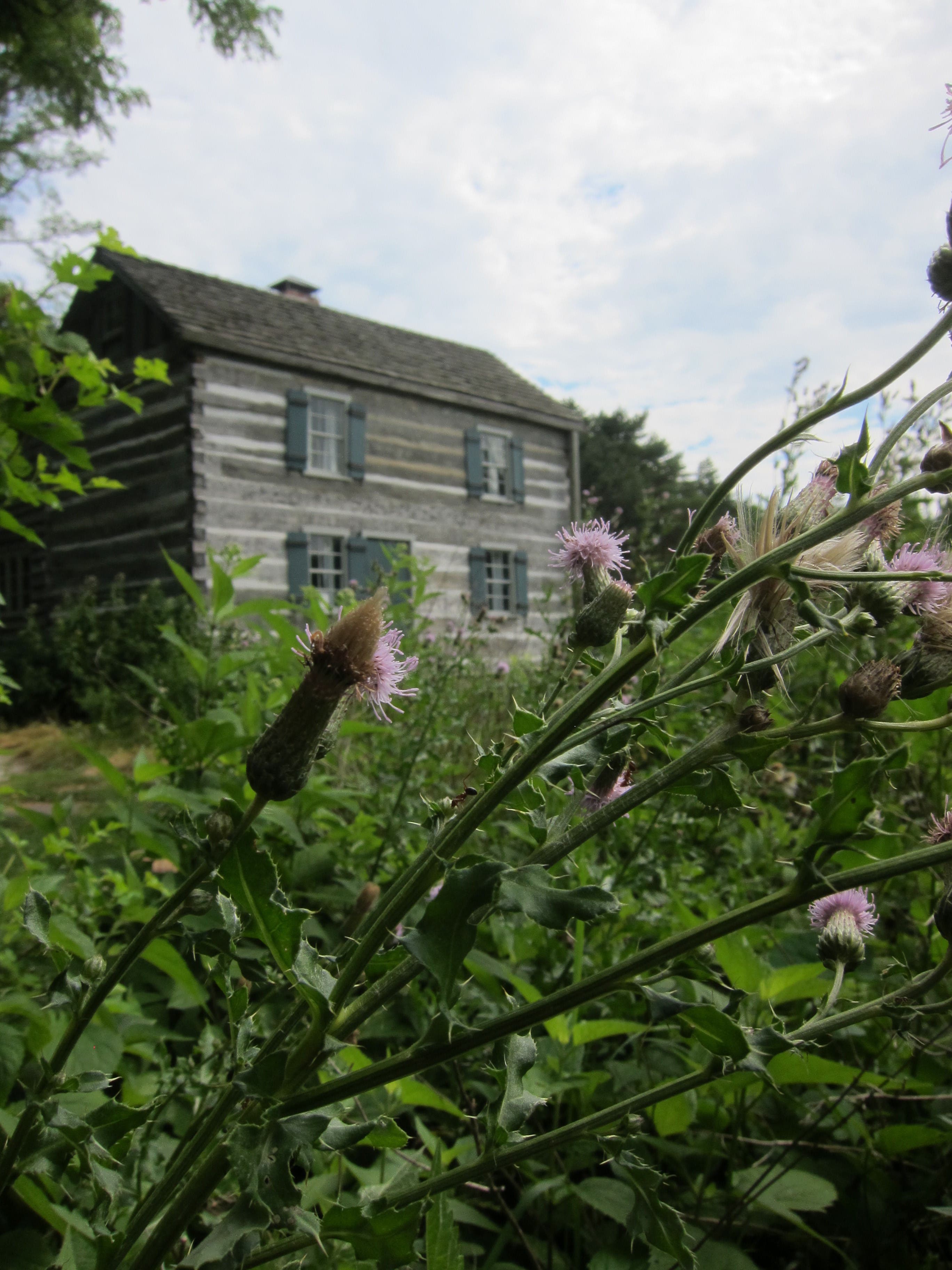 The 'Little House' in Winnetka | Winnetka, IL Patch
