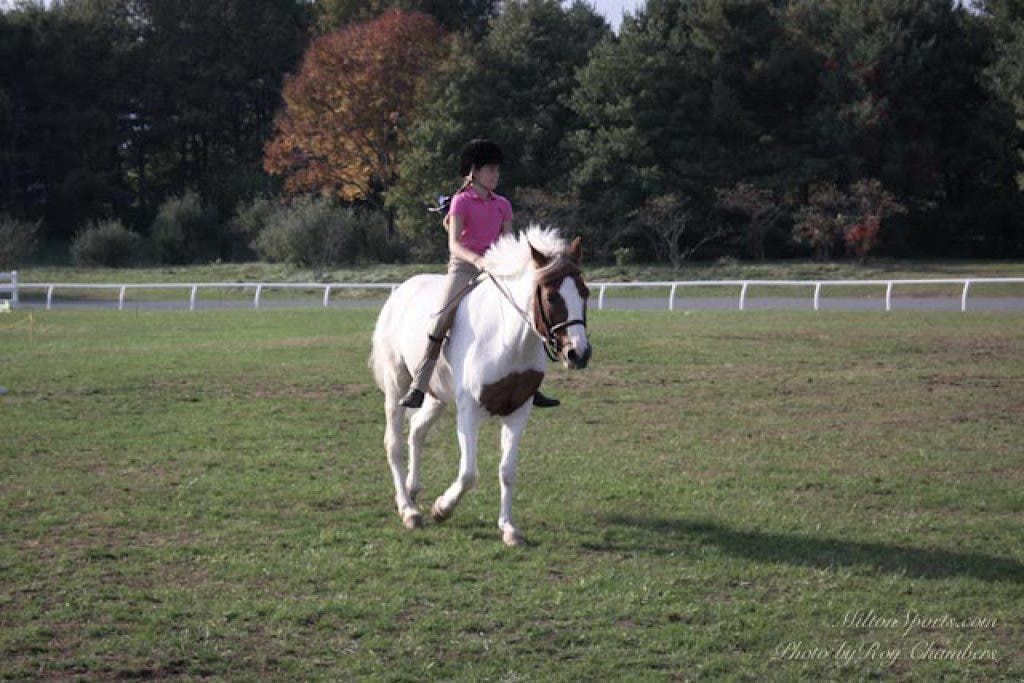 Milton 350th Anniversary Horse Show Trots into Prowse Farm | Milton, MA ...