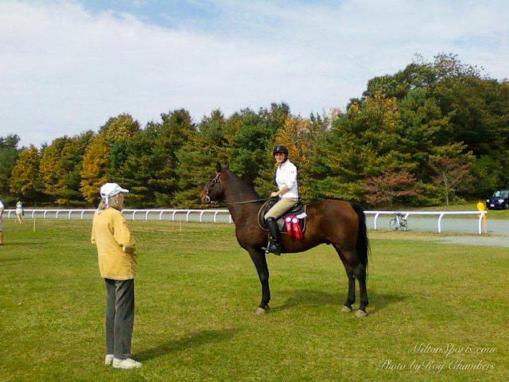 Milton 350th Anniversary Horse Show Trots into Prowse Farm | Milton, MA ...