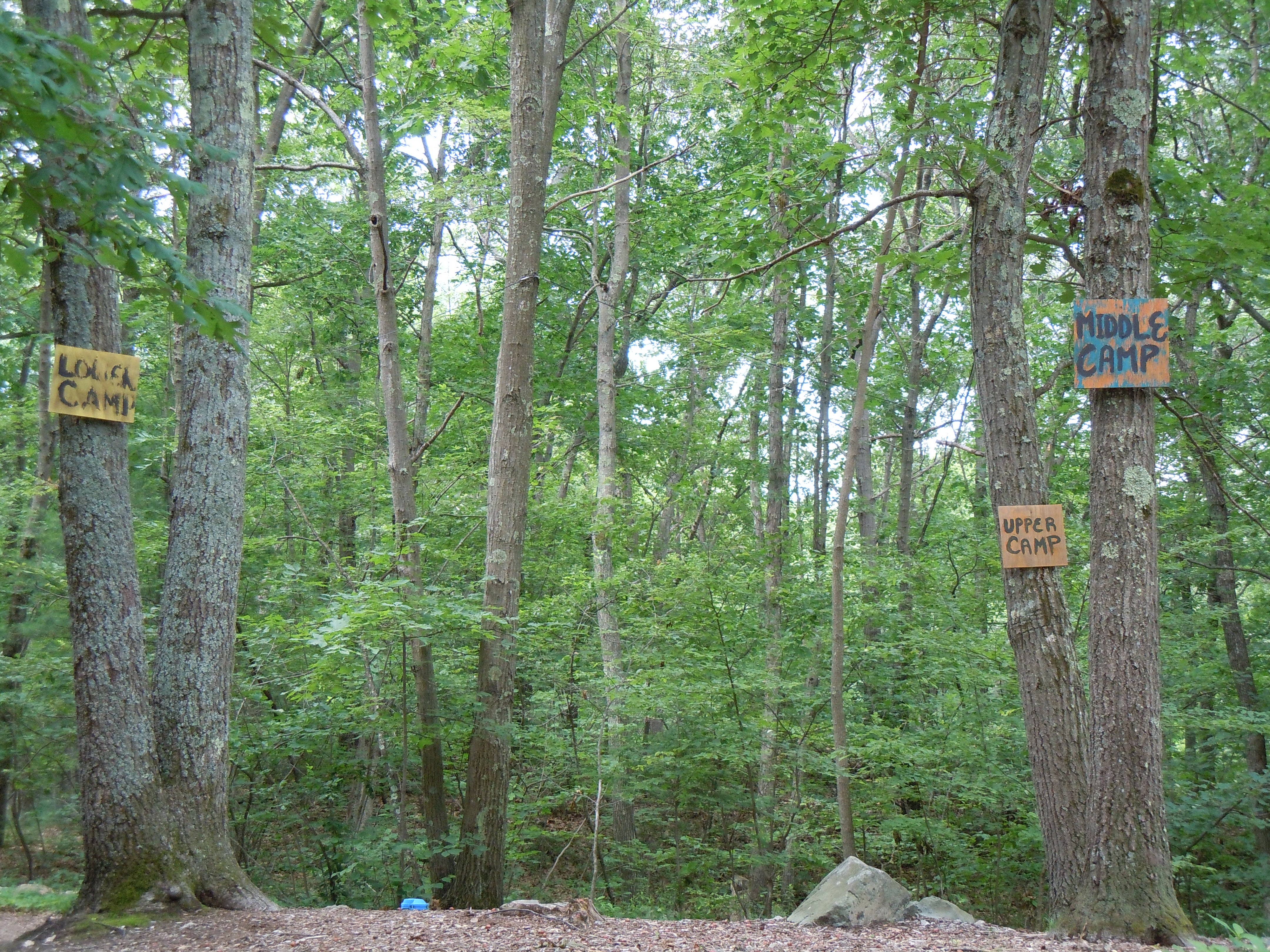VIDEO: Hale Day Camp Provides Fun, Entertainment for Area Campers ...