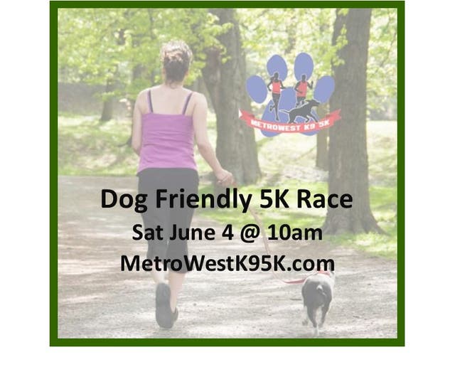 Dog Friendly 5K Race! | Sudbury, MA Patch