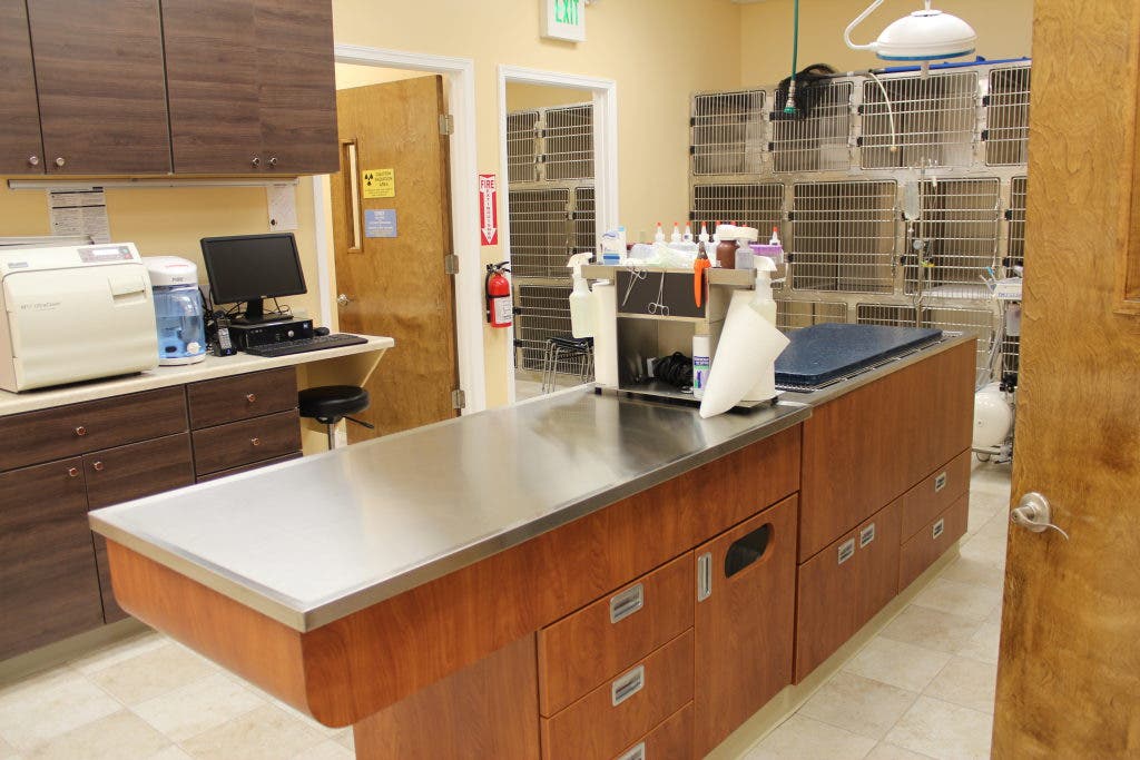 Perry Hall Pet Hospital Features New Technology | Perry Hall, MD Patch