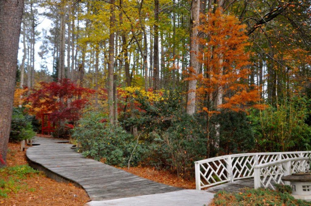 Vines Gardens in Loganville Reopens to the Public | Loganville, GA Patch