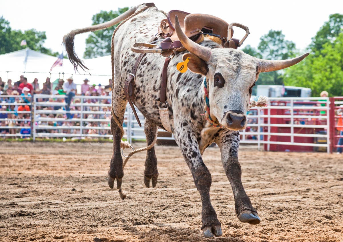Princeton Photo Workshop: NEW! Special Access: Montgomery Rodeo ...