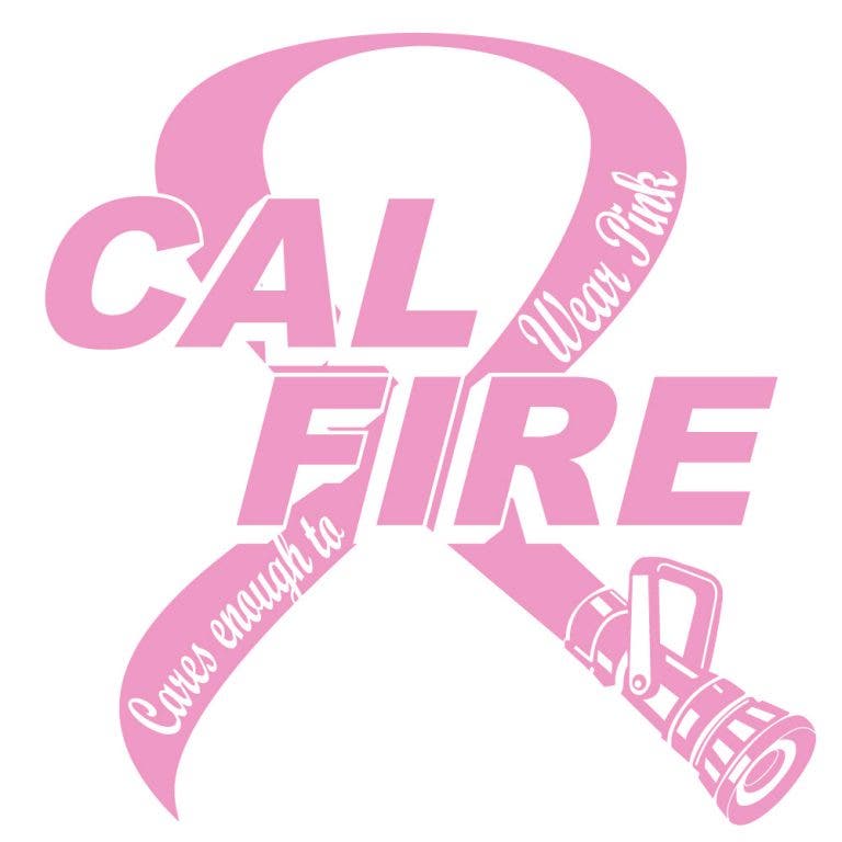 Local Firefighters 'Care Enough To Wear Pink' | Lake Elsinore, CA Patch