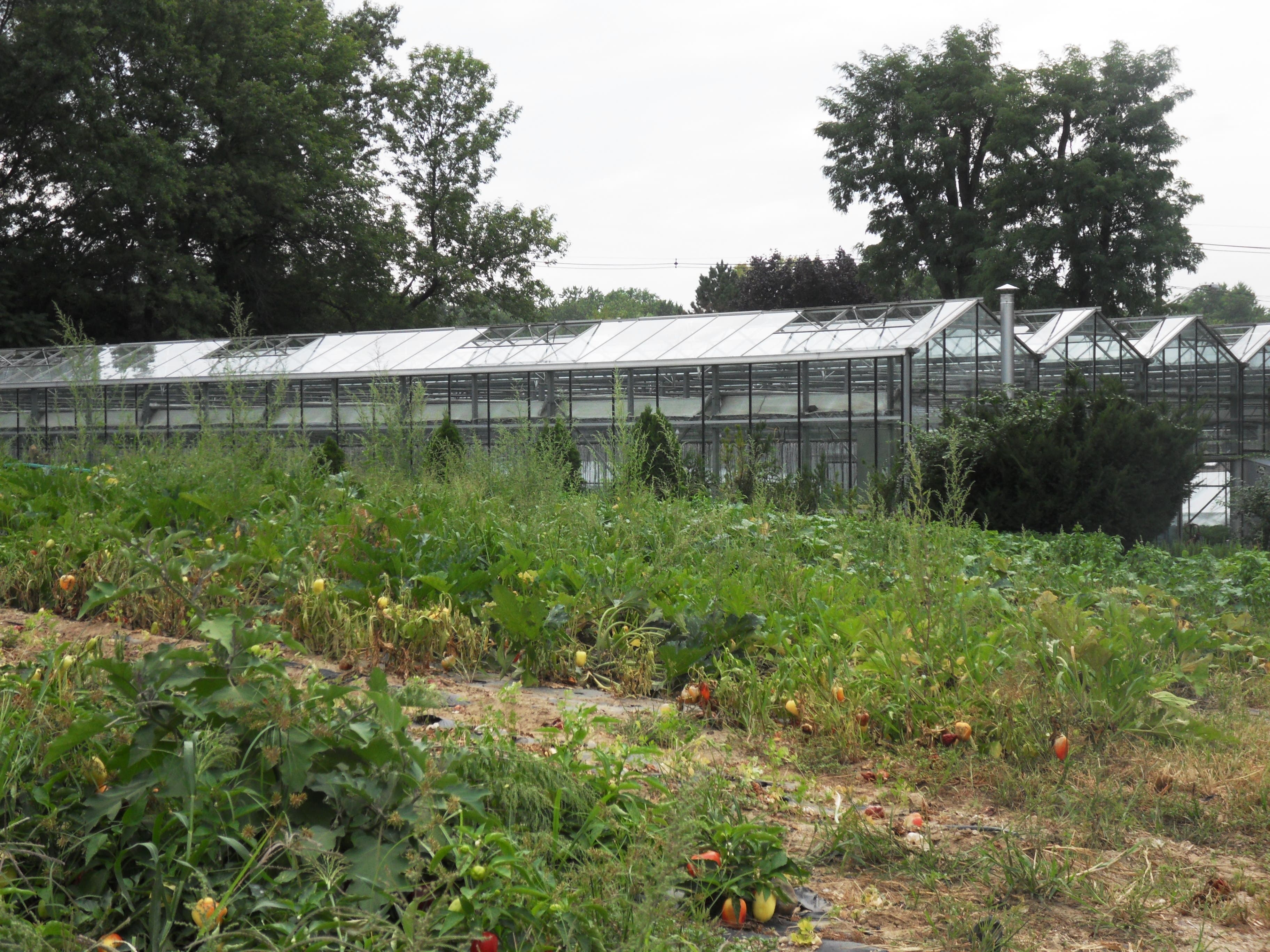 Pick-Your-Own Produce at Bader Farm (31 Photos, Video) | Montville, NJ ...