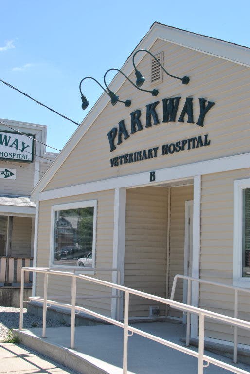 Parkway Vet West Roxbury