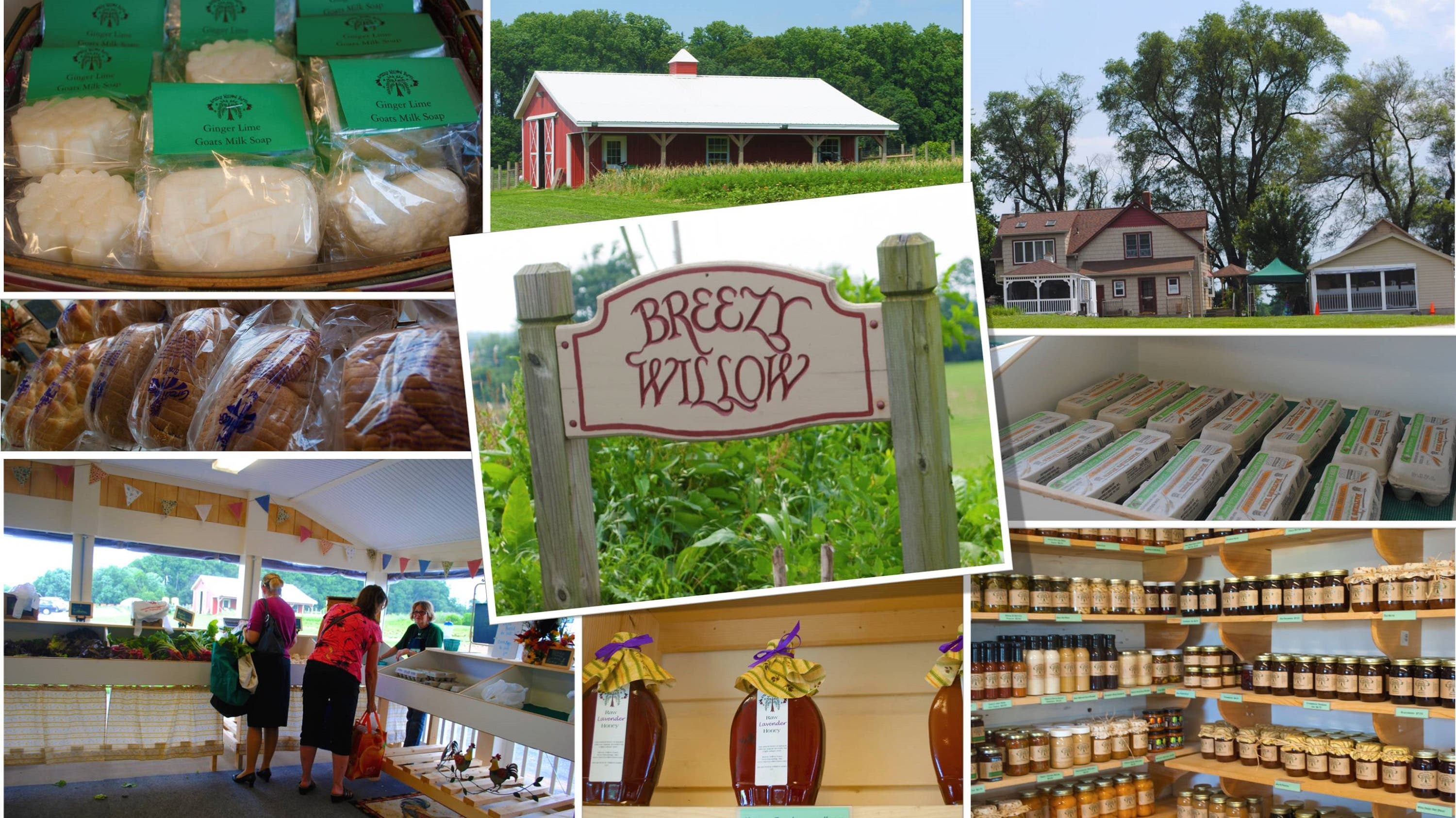 Breezy Willow Farm Video Brings the Community Together | Elkridge, MD Patch