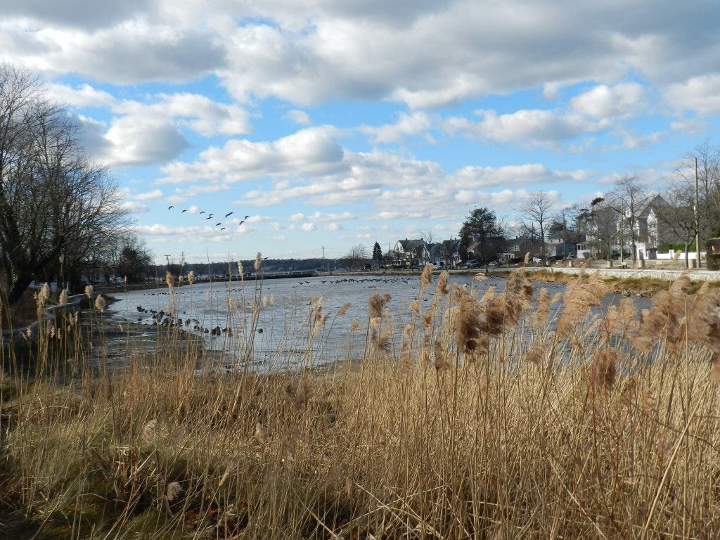 Saving The Long Island Sound | Port Washington, NY Patch