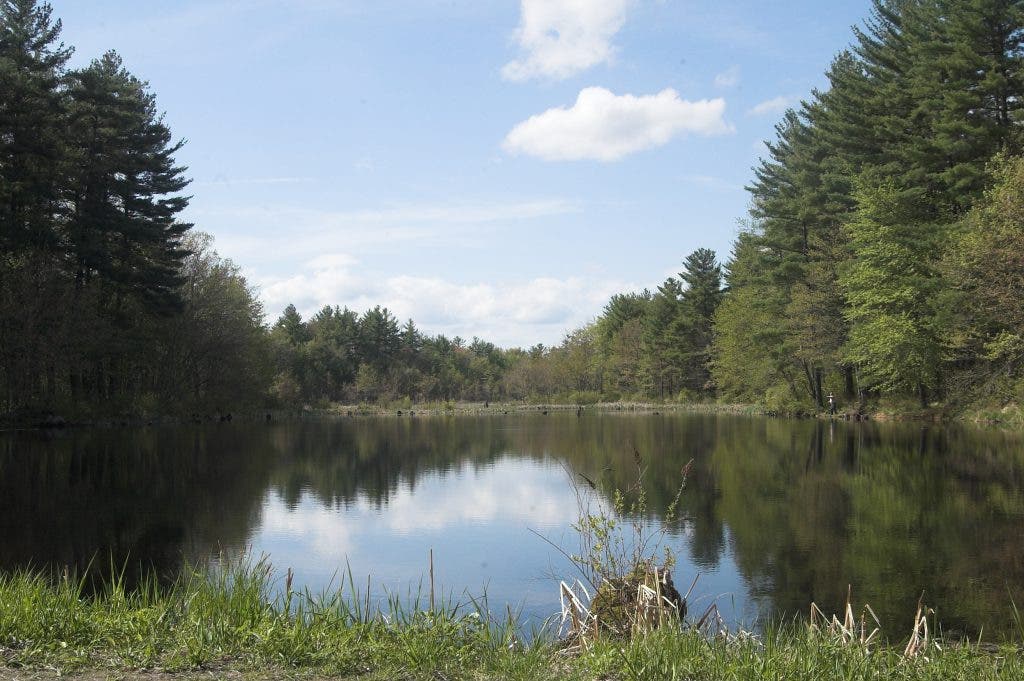 Visit Adams Pond Day | Londonderry, NH Patch