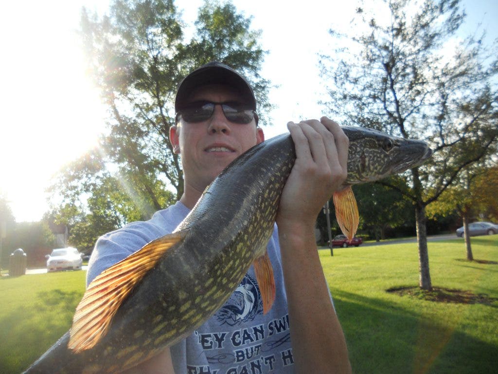 A Fish Story | Buffalo Grove, IL Patch