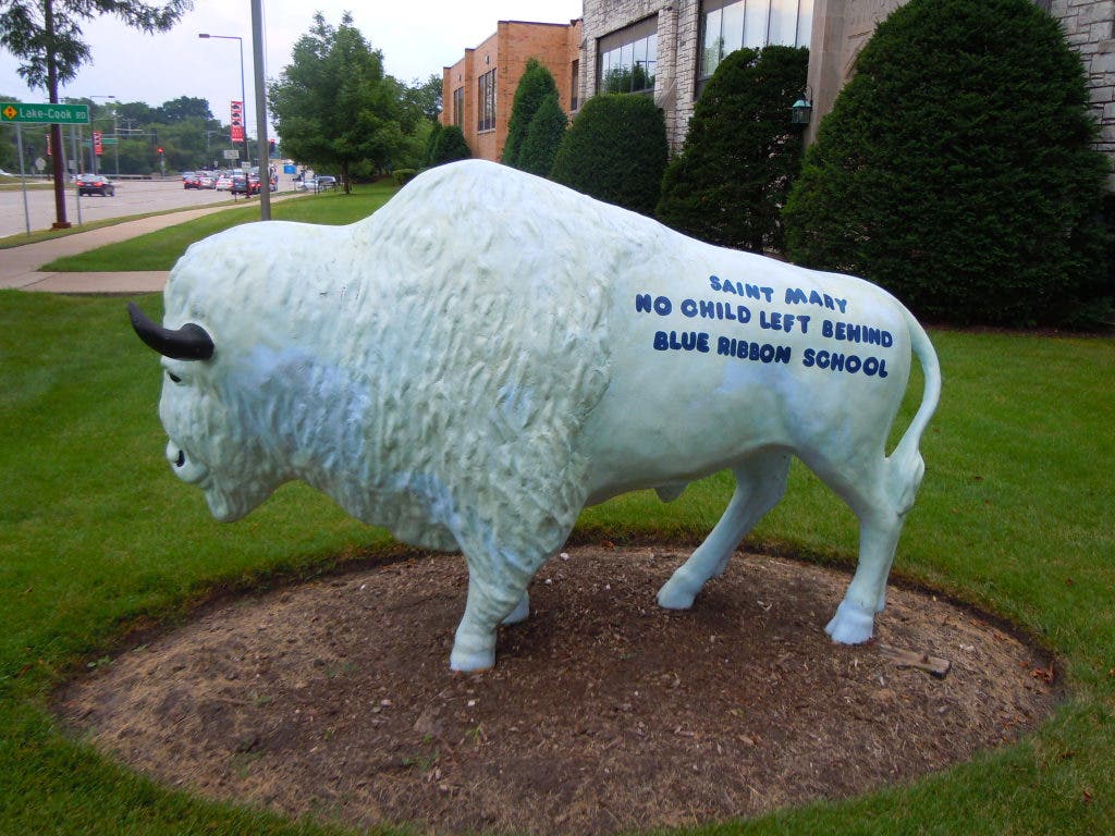 Hunting for Buffalo Grove's Buffaloes | Buffalo Grove, IL Patch