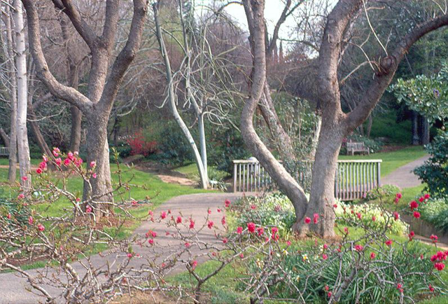 Visit the UC Riverside Botanic Gardens and Take Home a Plant | Redlands ...