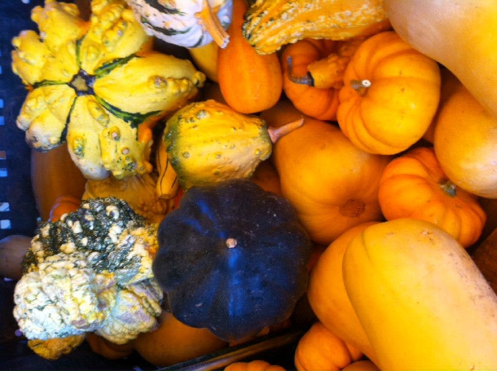 At the Farmers Market: Winter Squash | Calabasas, CA Patch