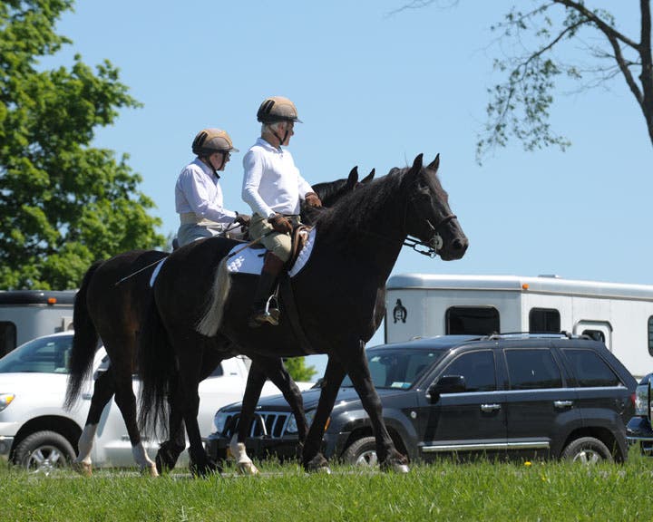 Bedford Riding Lanes Association Annual Fall Pace and Luncheon, Sunday ...