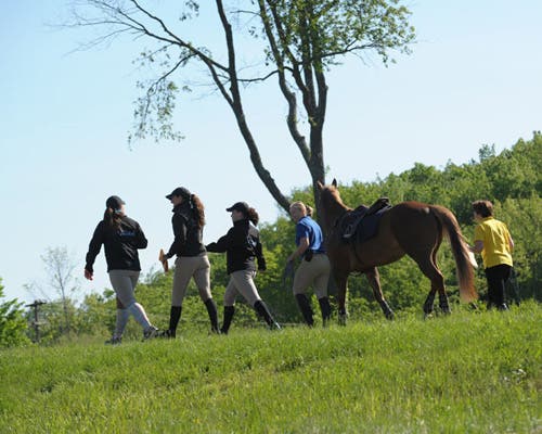 Bedford Riding Lanes Association Annual Fall Pace and Luncheon, Sunday ...
