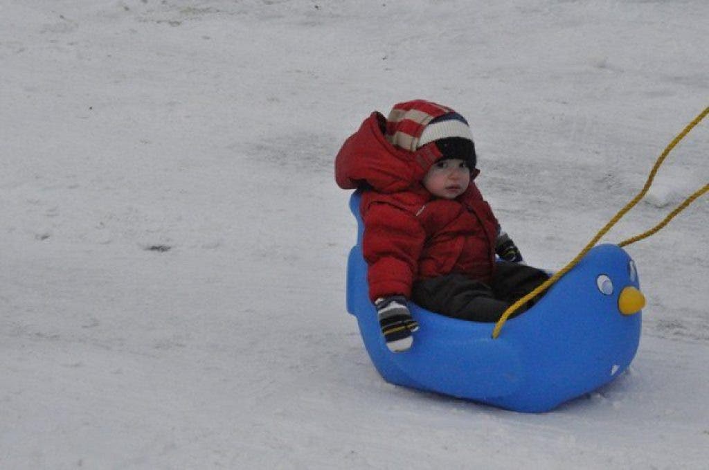 Six Sledding Spots in and Around Arlington | Arlington, MA Patch