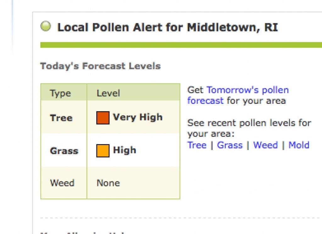 Soaring Pollen Count Nothing to Sneeze At This Weekend | Middletown, RI ...