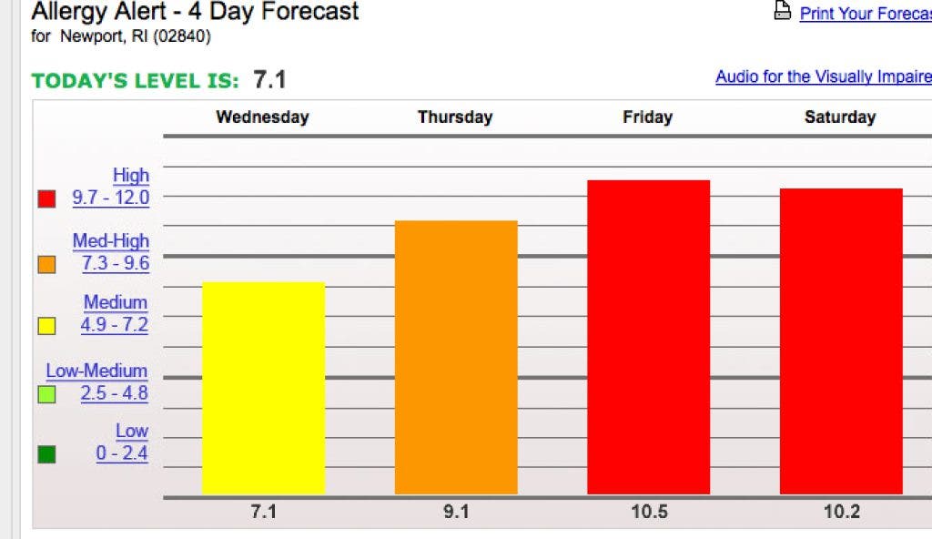 Soaring Pollen Count Nothing to Sneeze At This Weekend | Middletown, RI ...