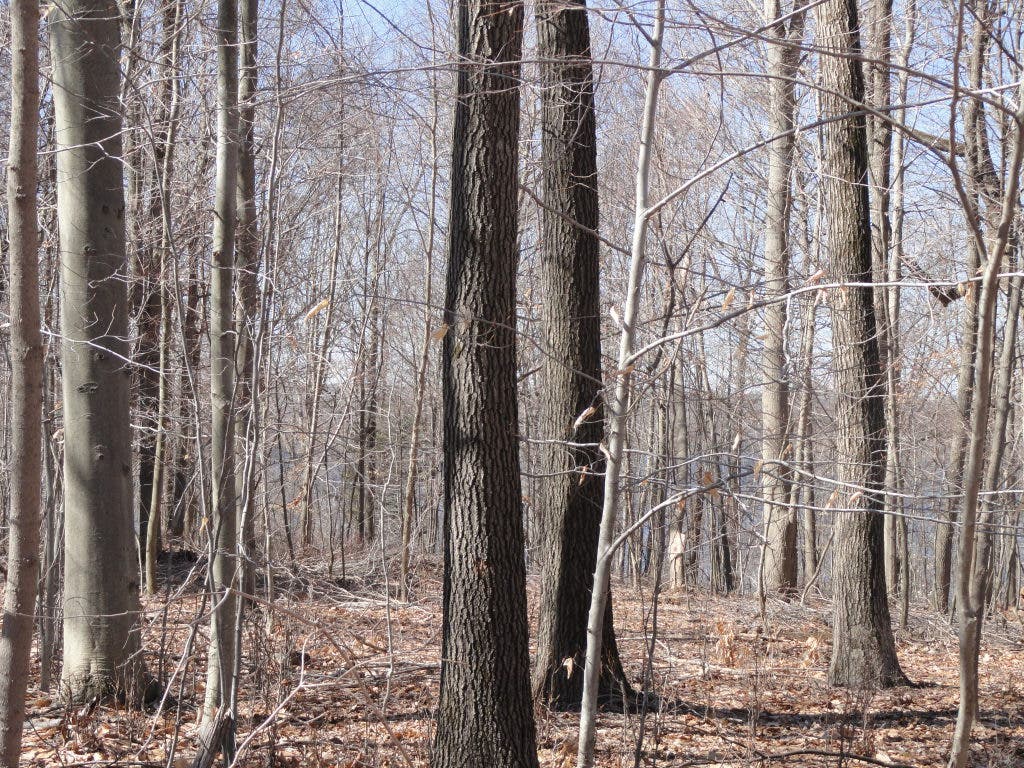 A Tour of Lake Gaillard and the Tilcon Quarry | North Branford, CT Patch