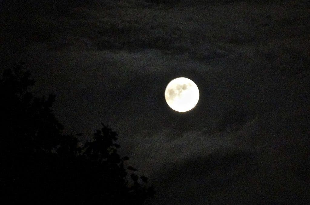 Photos: Saturday Night's Super Moon | Germantown, MD Patch