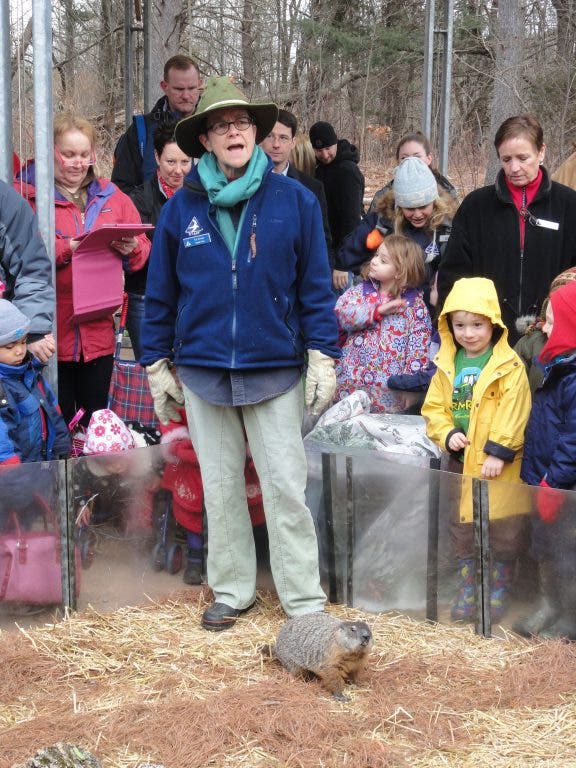VIDEO: Local Groundhog Ms. G Says Spring's On Its Way | Lexington, MA Patch