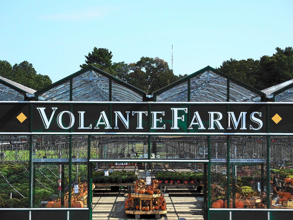 Wilson Farm Chef Moves South to Needham | Lexington, MA Patch