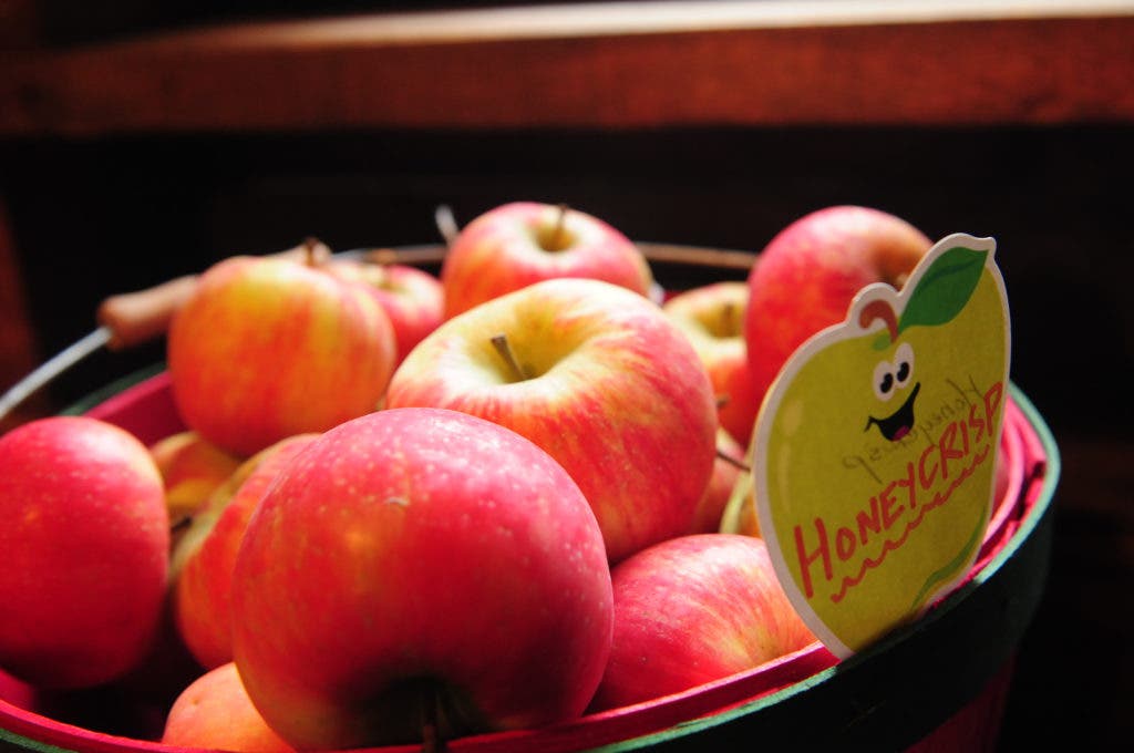 It's Apple Picking Season at Aamodt's Apple Farm in Stillwater ...