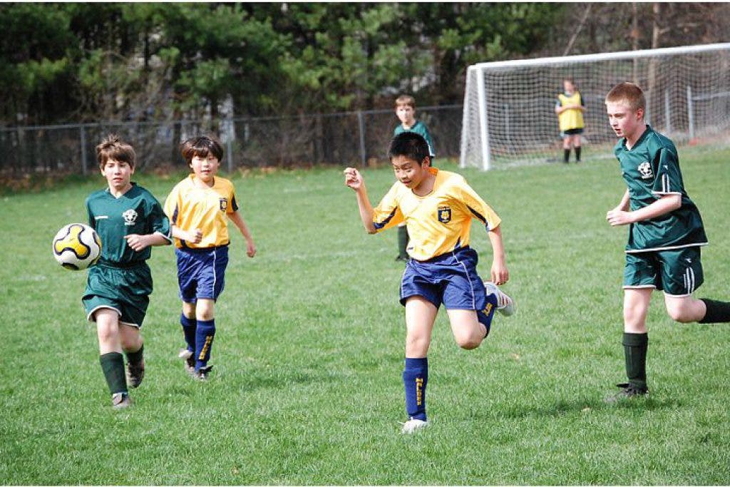 Under 12 Soccer Team Wins Division 5A, Will Go to Cup | Malden, MA Patch