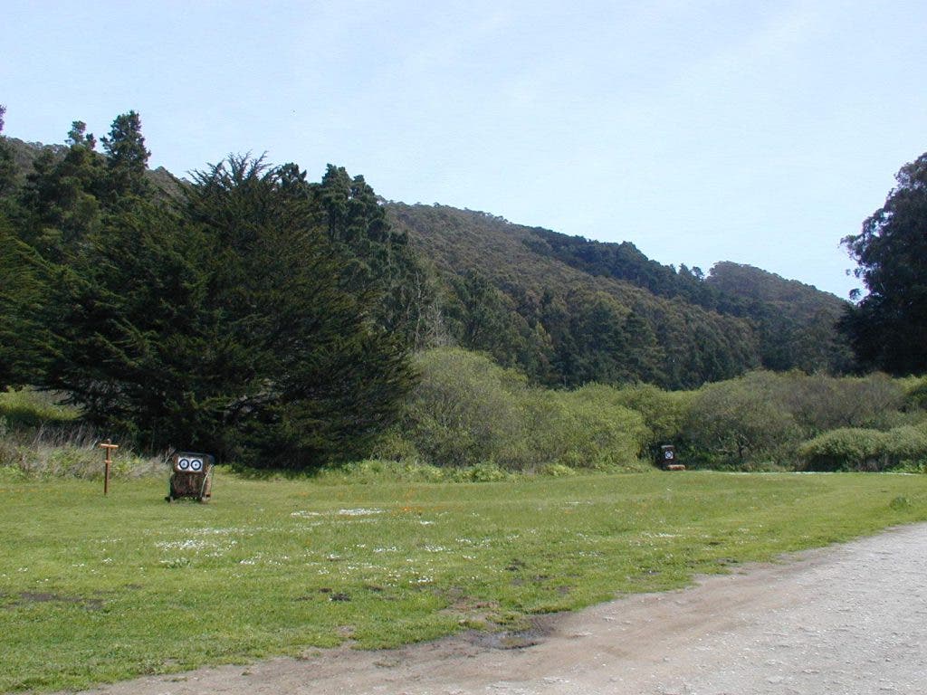 Opinion: San Francisco to Cut 15,000-Plus Pacifica Trees | Pacifica, CA ...