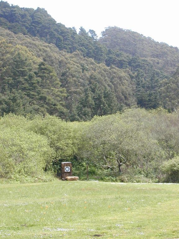 Opinion: San Francisco to Cut 15,000-Plus Pacifica Trees | Pacifica, CA ...