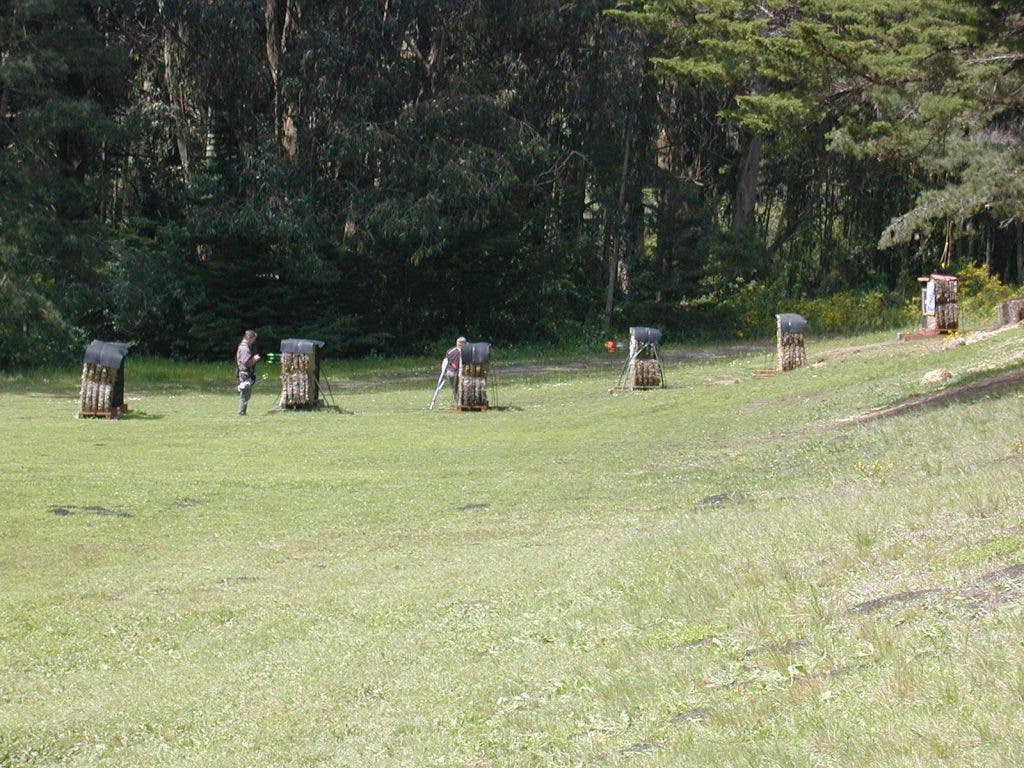 Opinion: San Francisco to Cut 15,000-Plus Pacifica Trees | Pacifica, CA ...