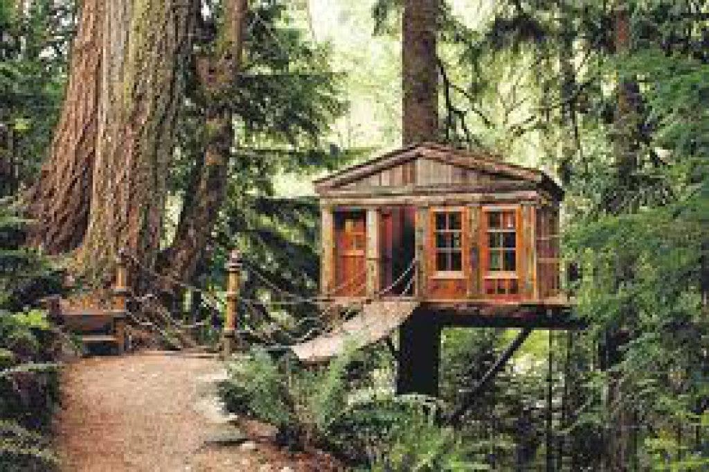 Looking Back to 1962-The Neighborhood Treehouse | Studio City, CA Patch
