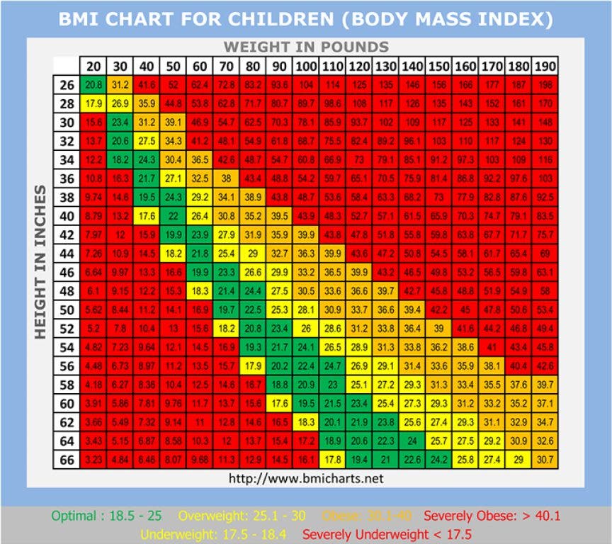Bmi Calculator In Pounds And Inches Aljism Blog Bmi Calculator In Pounds And Inches Aljism Blog
