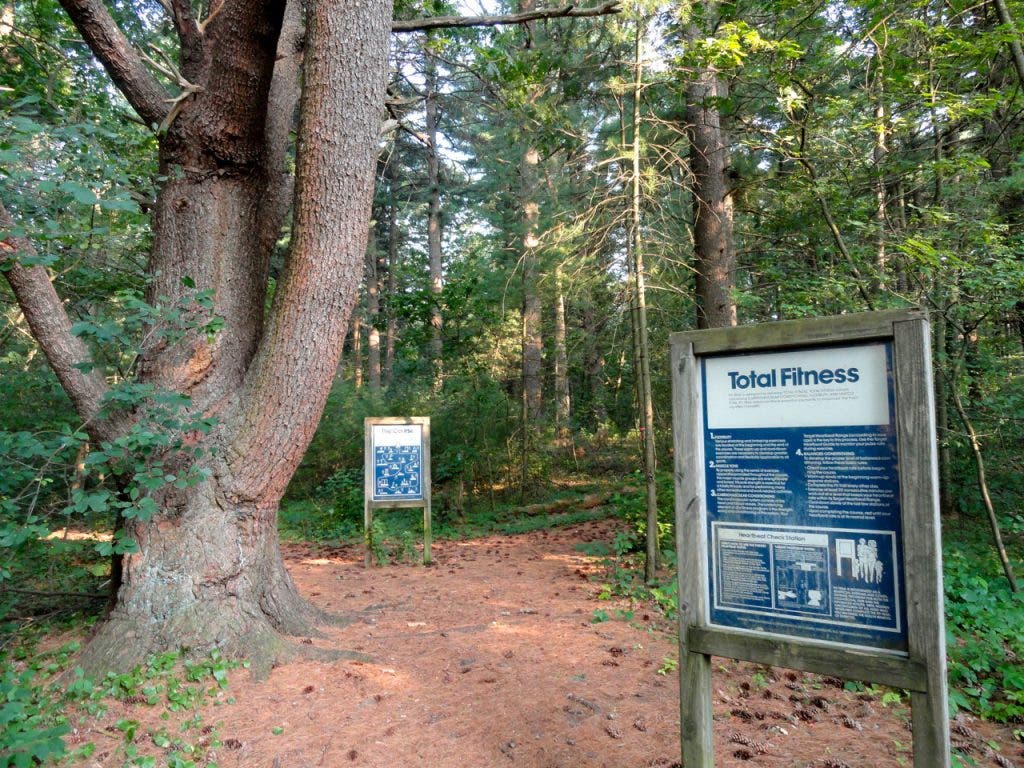 Needham Walks: Discover Your Local Trails | Needham, MA Patch