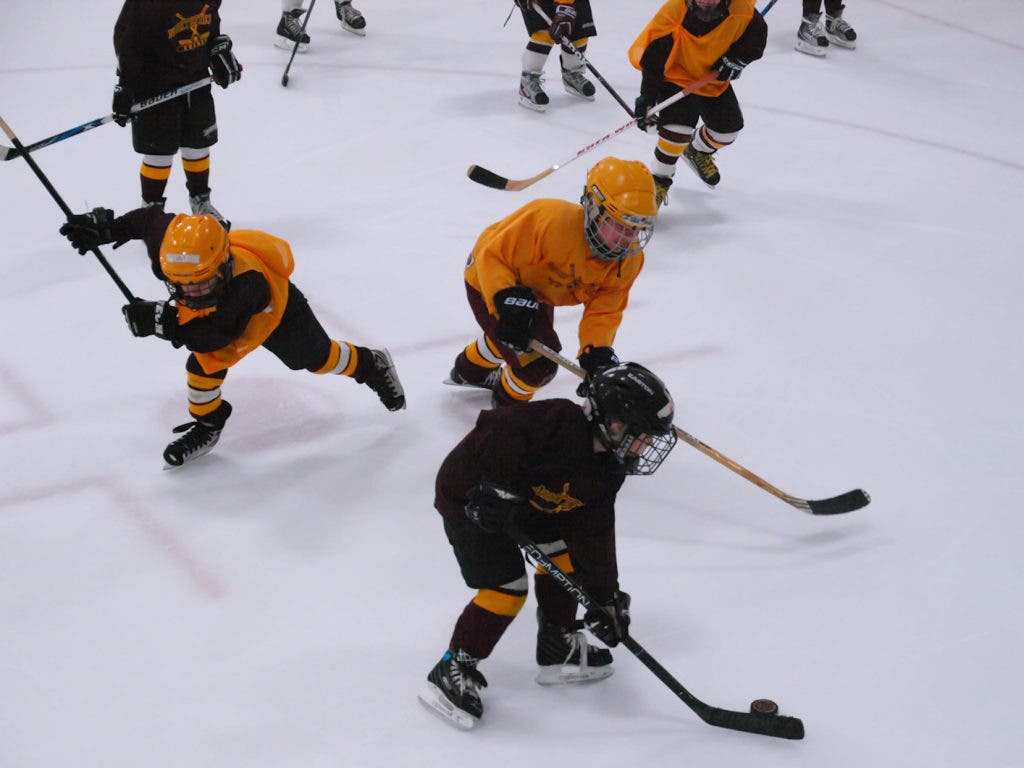Raiders Boys Hockey Falls to Rochester Lourdes, 5-2 | Northfield, MN Patch