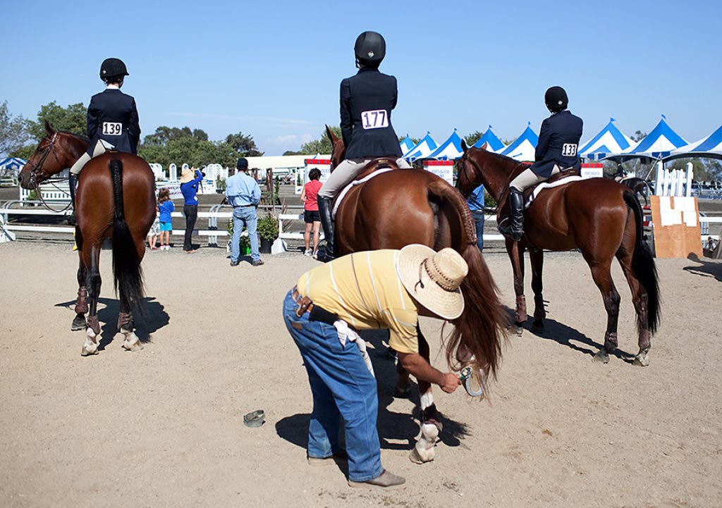 Ernie Howlett Hosts Portuguese Bend Horse Show | Palos Verdes, CA Patch