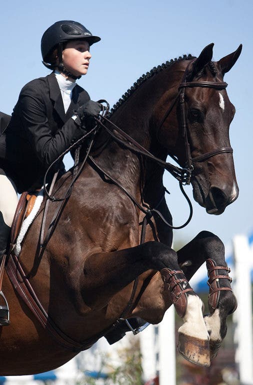 Ernie Howlett Hosts Portuguese Bend Horse Show | Palos Verdes, CA Patch