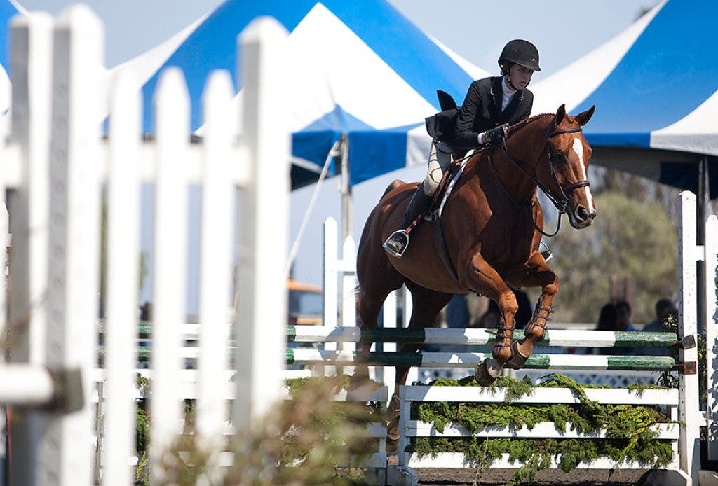 Ernie Howlett Hosts Portuguese Bend Horse Show | Palos Verdes, CA Patch