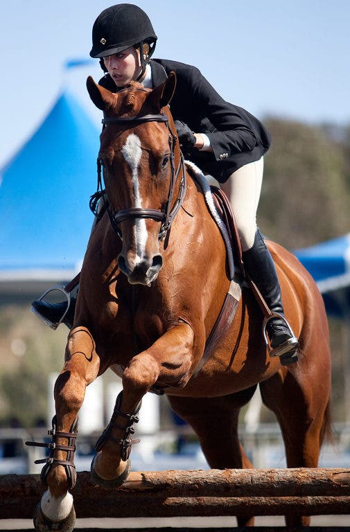 Ernie Howlett Hosts Portuguese Bend Horse Show | Palos Verdes, CA Patch