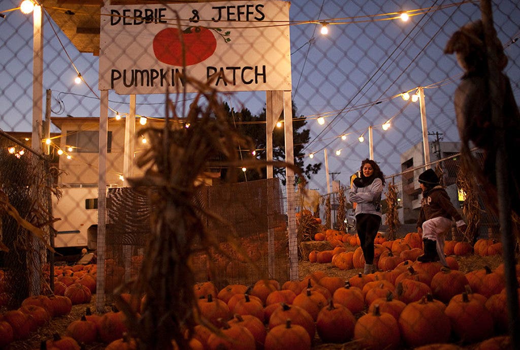 Hermosa Beach Pumpkin Patch Outlasts Them All | Hermosa Beach, CA Patch