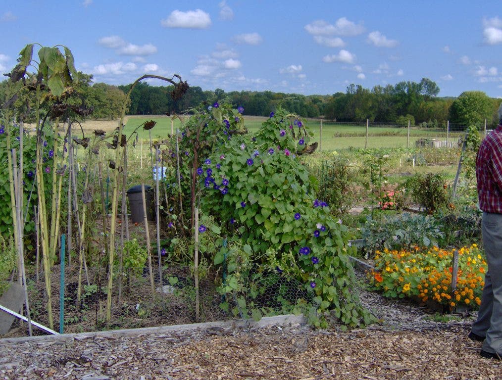 Community Garden Presentation on Display Wednesday | Long Valley, NJ Patch