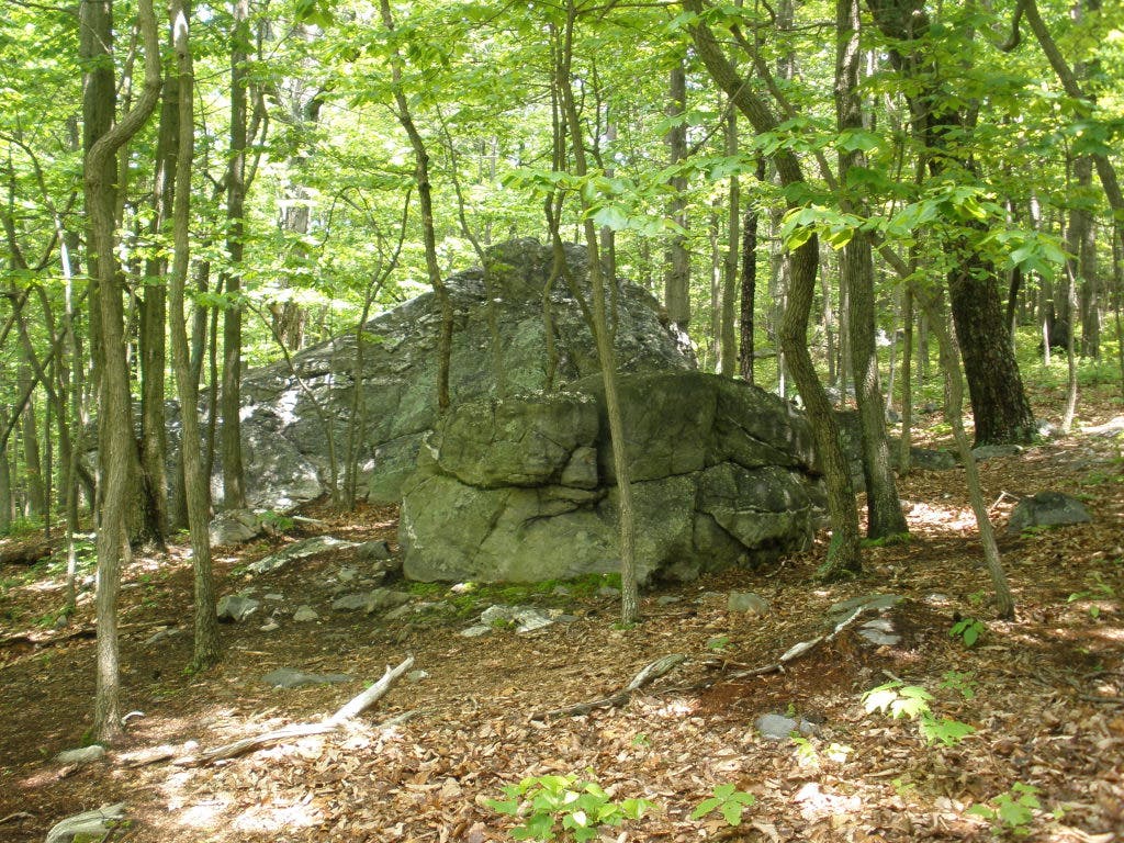 Bears Den Trail | Chantilly, VA Patch