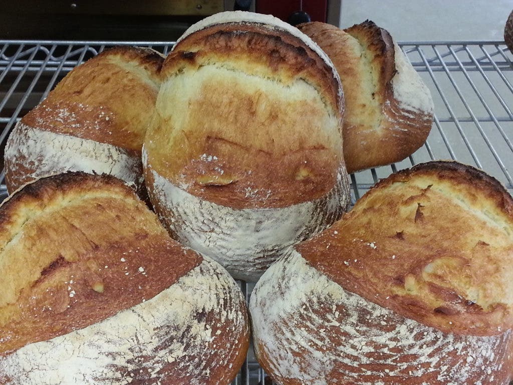 New Bakery: Fred's Bread in Eden Prairie | Eden Prairie, MN Patch