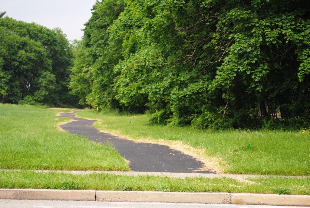 One Small Path, One Big Design Plan for a Network of Walking Trails in ...
