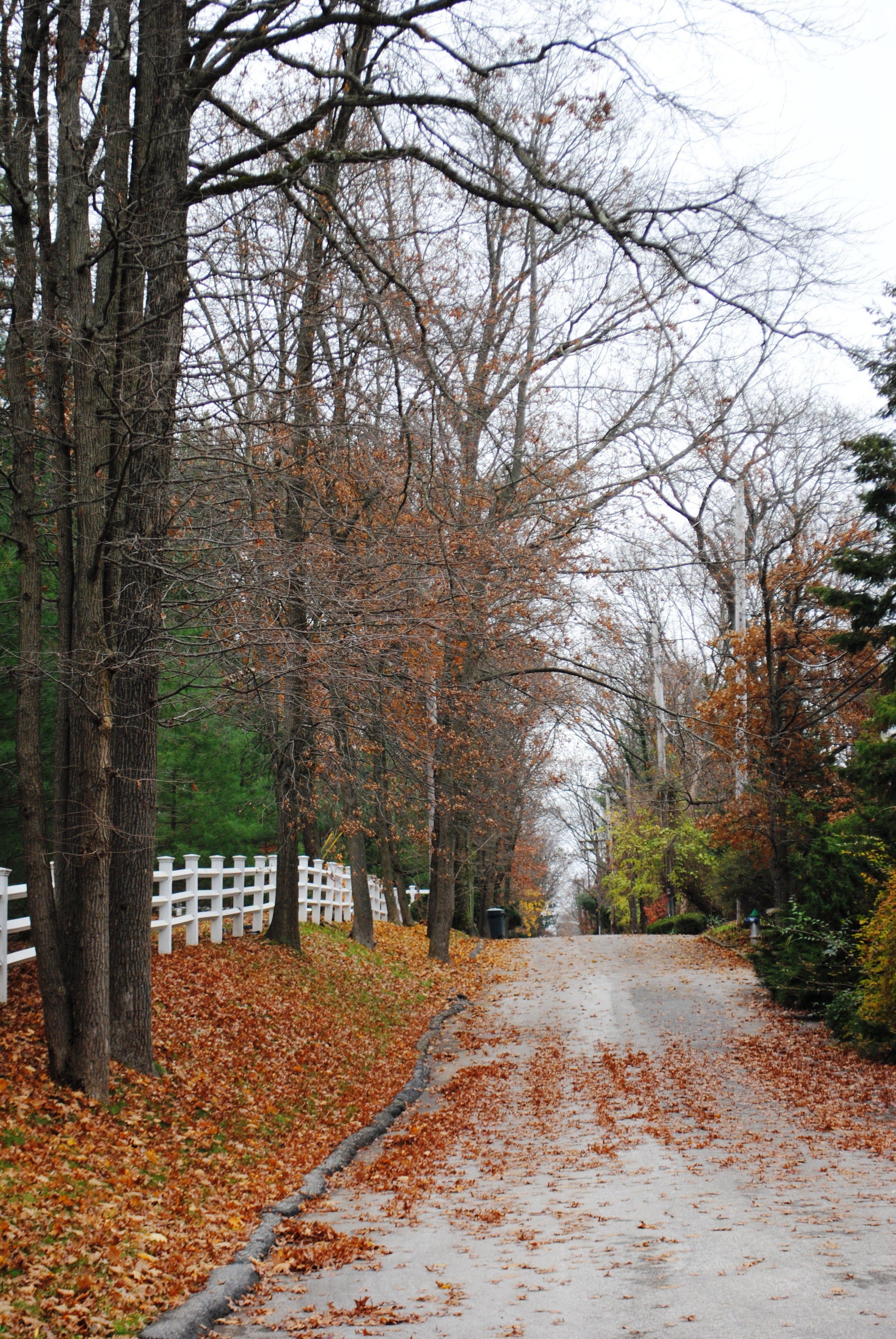 Whitpain Trails One Step Closer to Reality | Lower Gwynedd, PA Patch