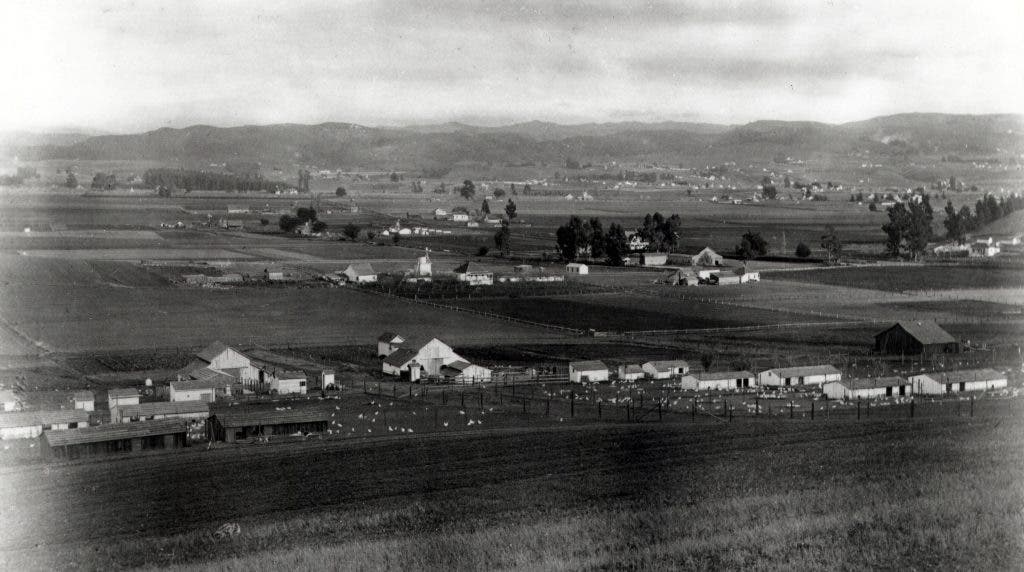CV History Talks to Begin 2 p.m. Saturday | Castro Valley, CA Patch