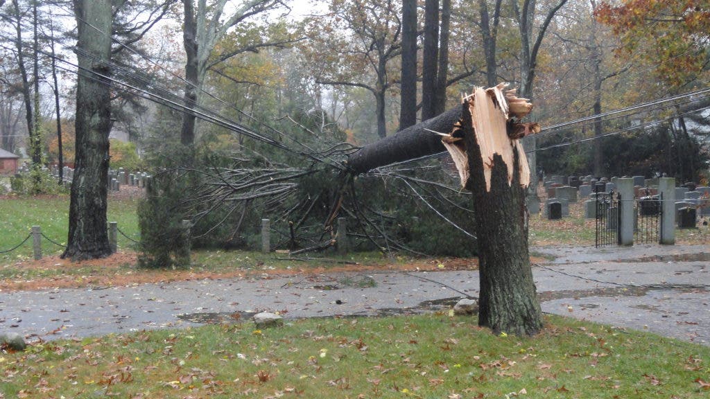 Trees Falling on Power Lines, Property | Natick, MA Patch